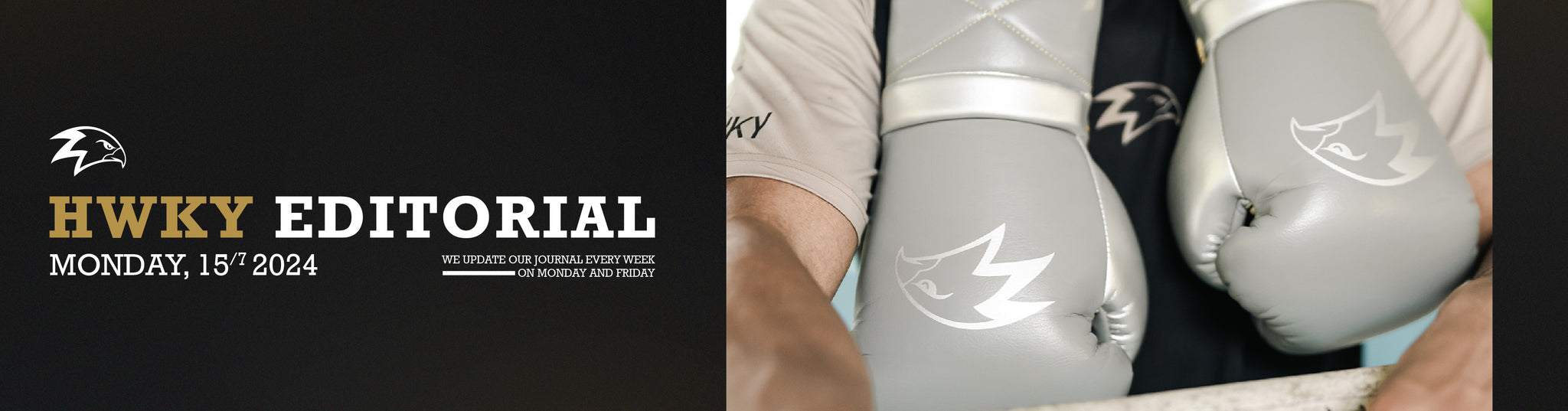 The Ultimate Guide to Choosing the Perfect Hawkeye Fightwear Boxing Gl